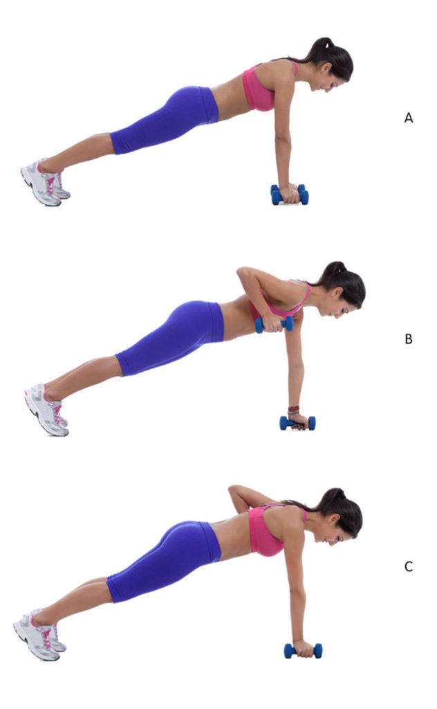 Low Impact Full Body Plank Workout for Beginners - The Fit and Healthy ...